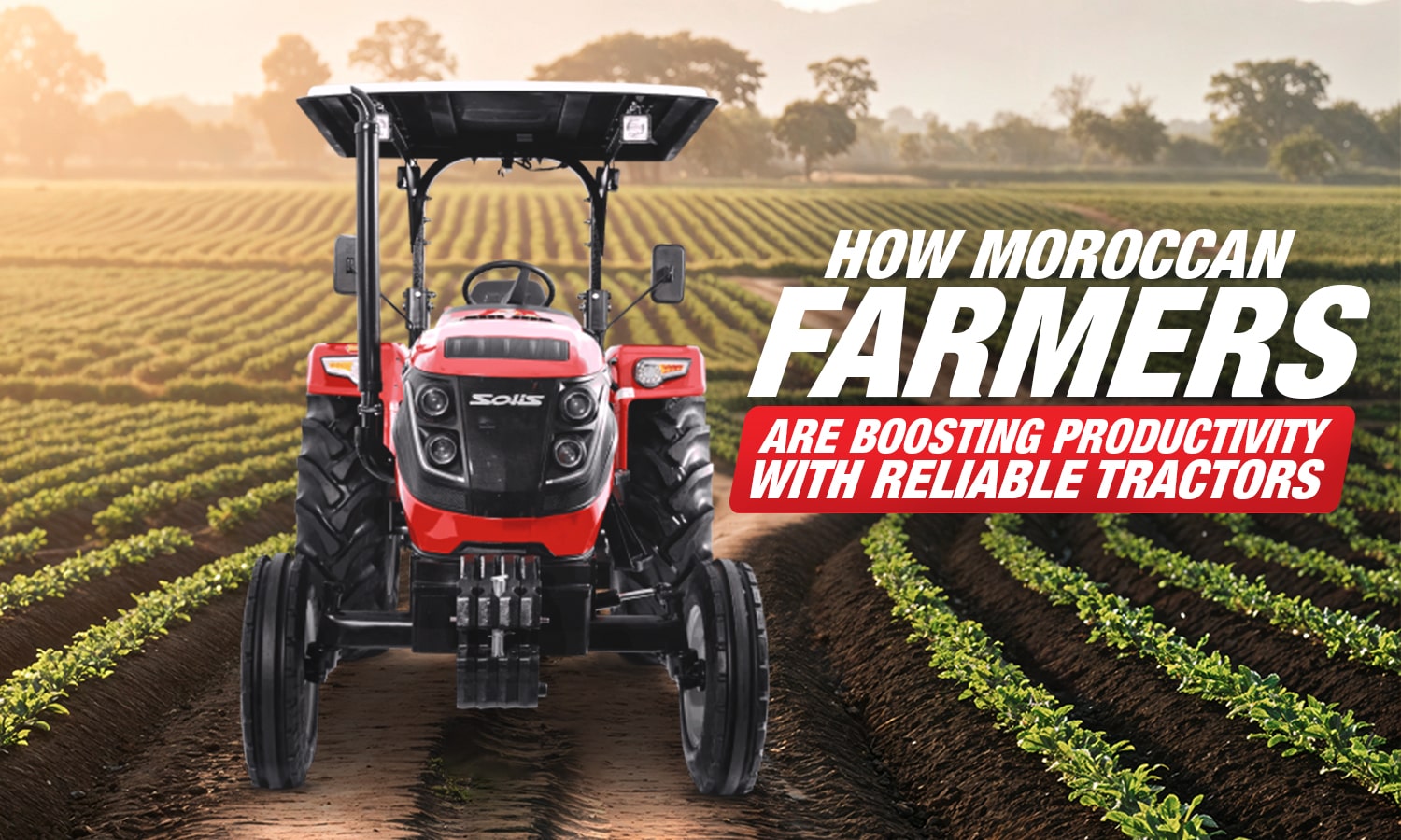 How Moroccan Farmers Are Boosting Productivity with Reliable Tractors